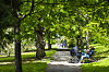 Oslo kommune skal plante 100.000 trær